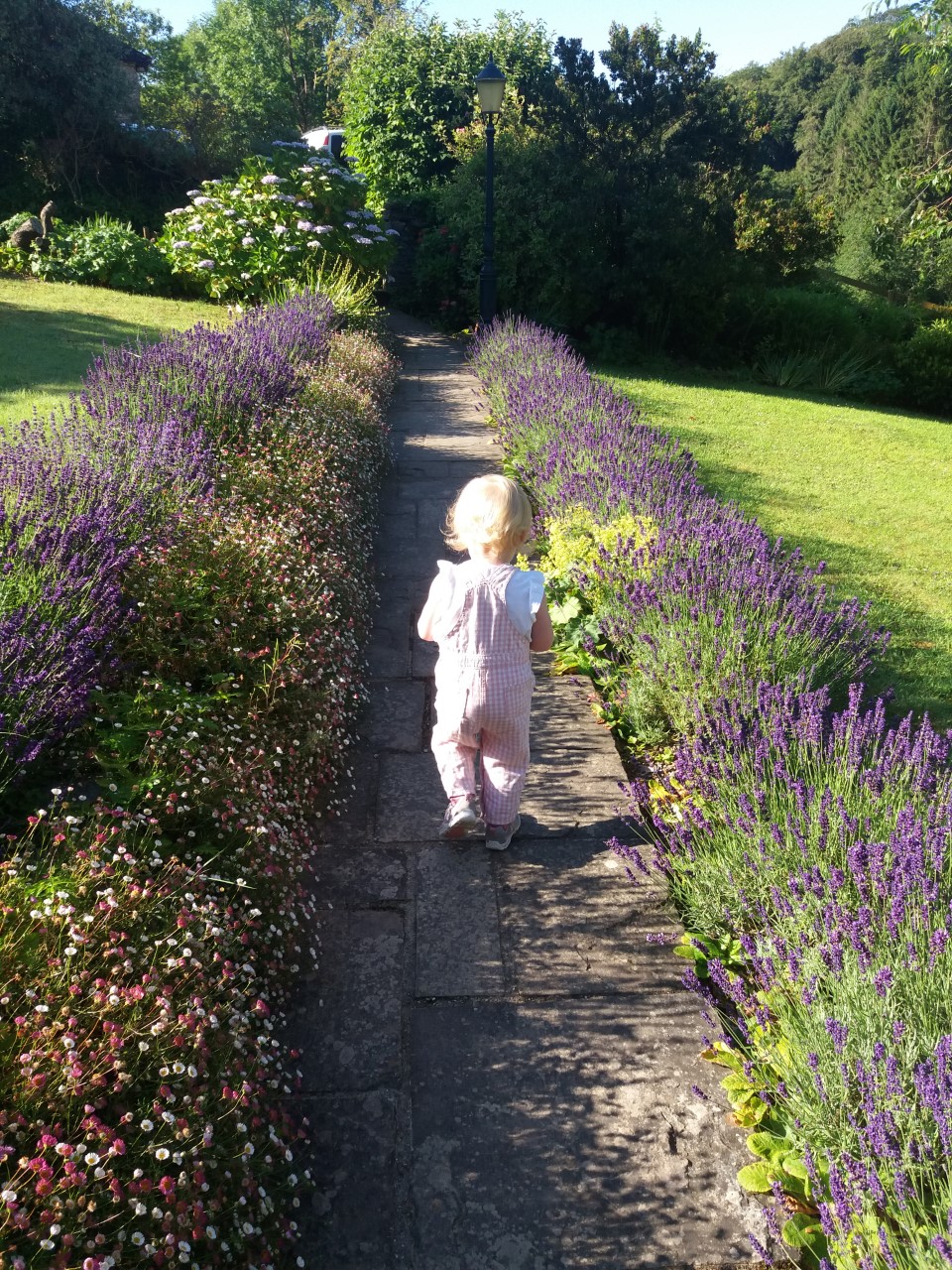 Flear Farm: the ultimate family-friendly staycation – Pass the wine please